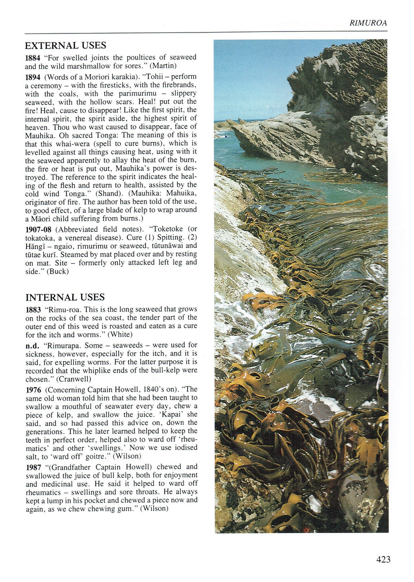 Māori Healing And Herbal- New Zealand Ethnobotanical Sourcebook ...